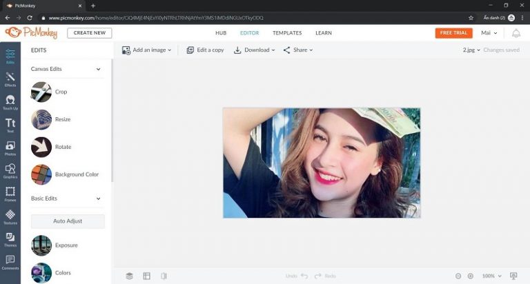 Download Phần Mềm Picmonkey Pro Apk cho PC 2020